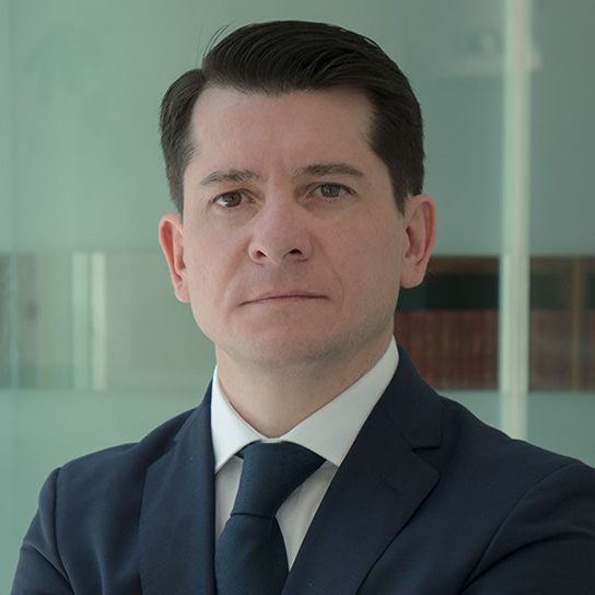 Luis Ernesto Peon Barriga | Mexico City | Hogan Lovells
