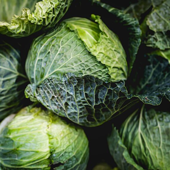 FDA Issues Final “Healthy” Rule