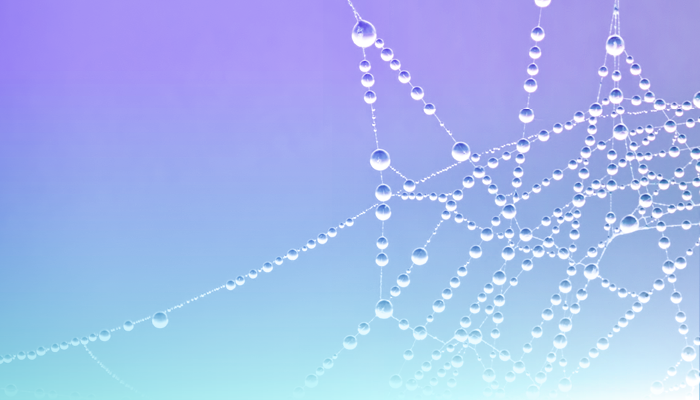 The Digital Assets Summit 2025 - Winds of change: the global regulatory ...