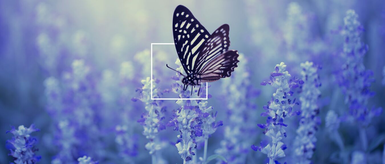 ESMA consults on private templates for Securitisation Disclosure – more ...