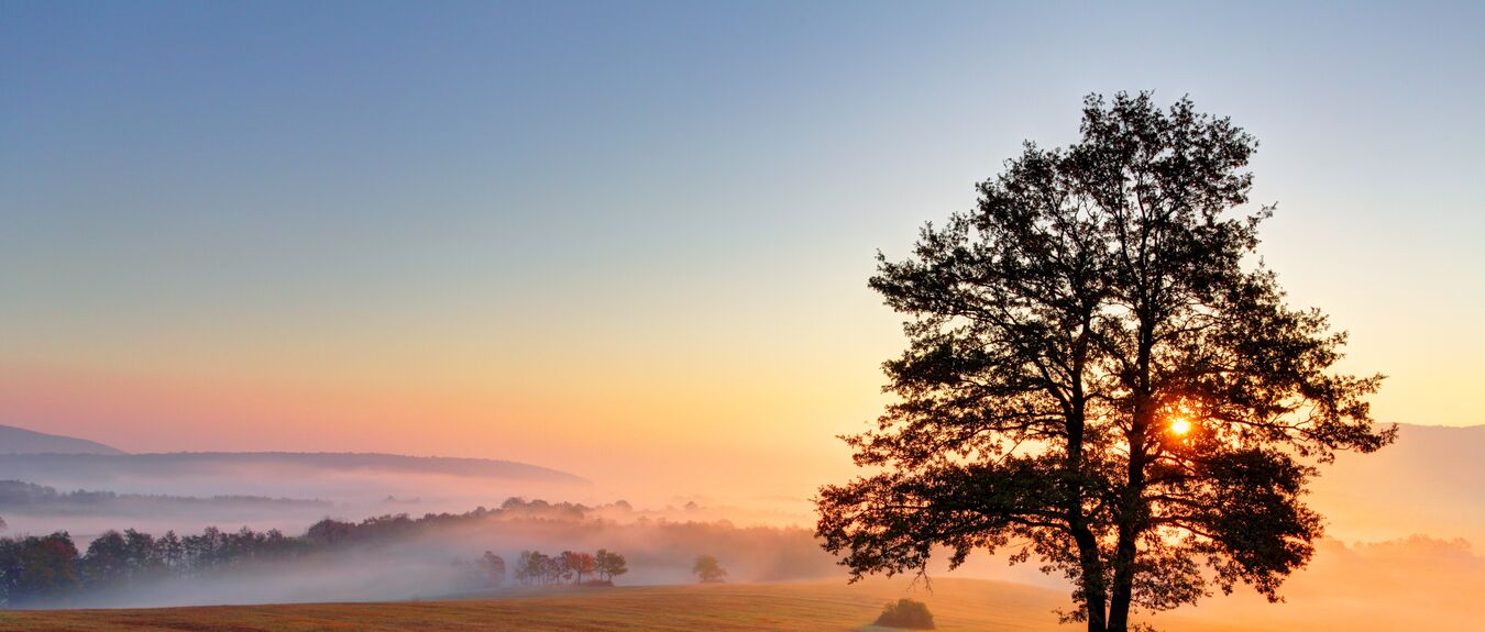 English Supreme Court holds that the Etridge protocol applies to hybrid ...