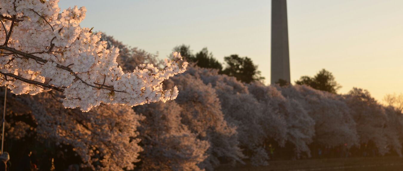 DOJ Civil Division Assistant Attorney General’s first day memorandum ...