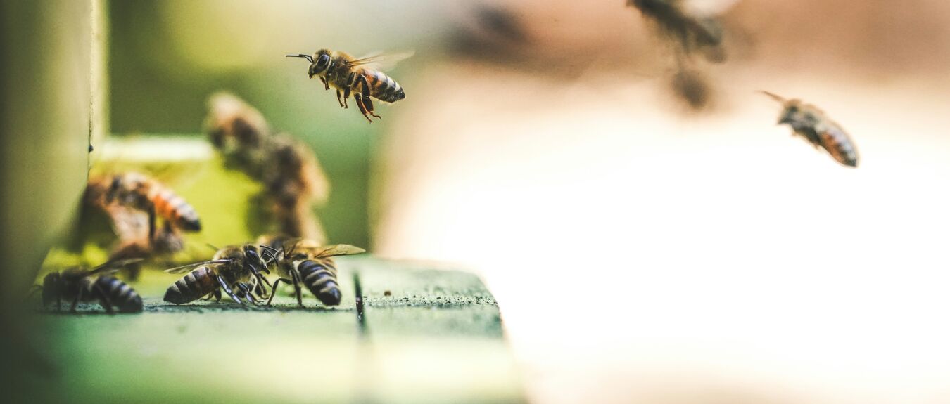 UK product regulatory & liability reform on the horizon: what ...