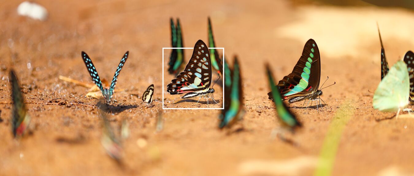 Vietnam enacts landmark law on personal data protection: stable ...