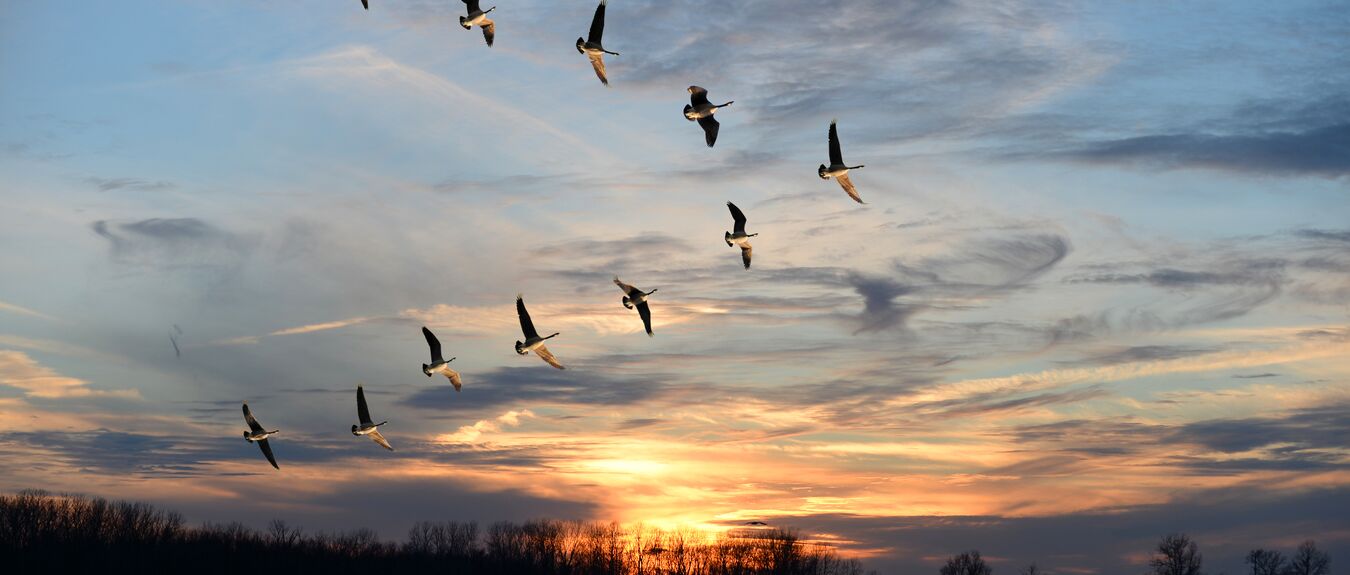 UK Pensions: HMRC announcement creates opportunity to increase VAT ...