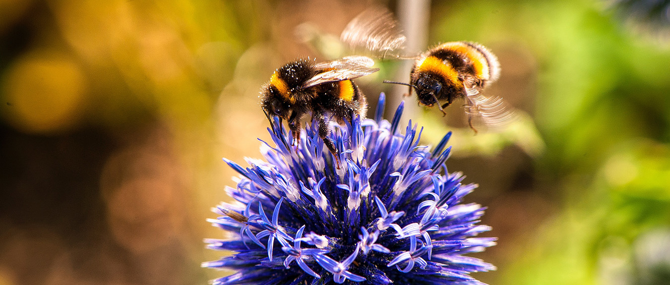 UK TCFD-aligned Disclosures Explained