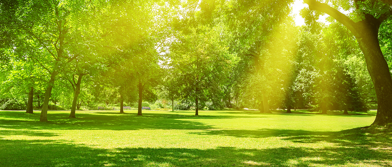 UK: Compulsory purchase: a compensation masterclass