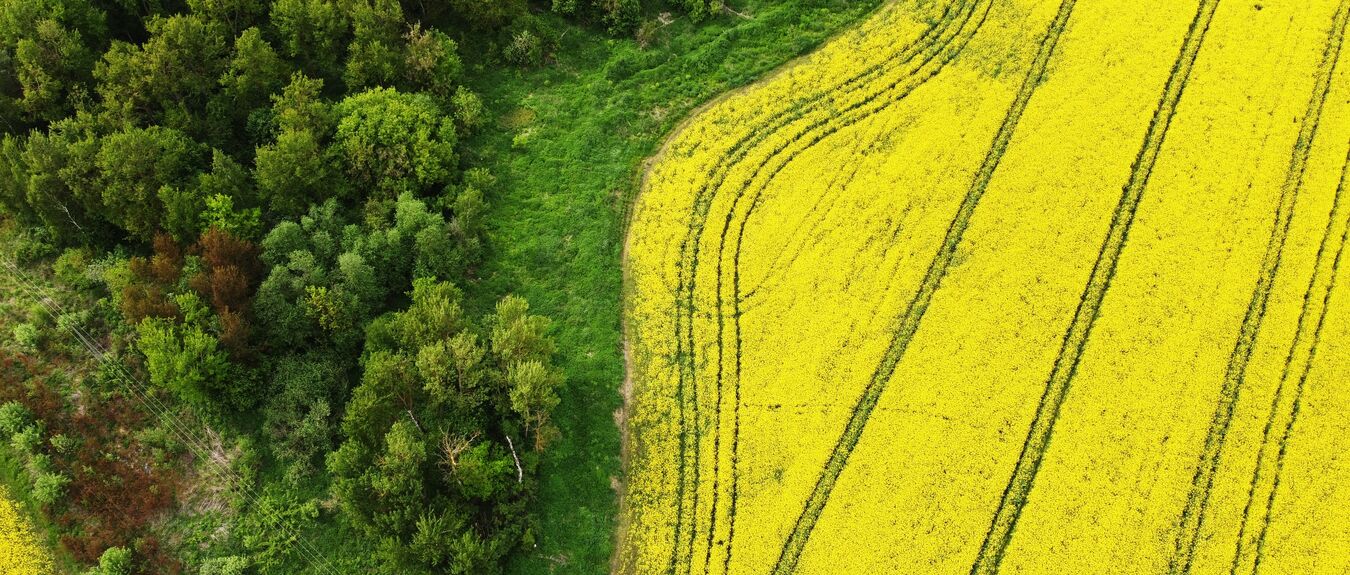 Is land invasion an African problem?