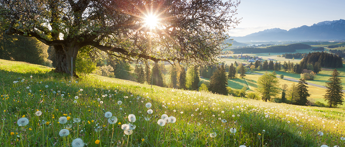 DOE’s new Liftoff report updates deployment challenges and strategies ...