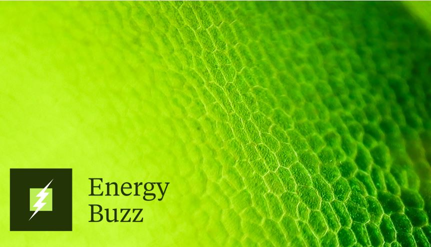 Energy Buzz: Ofgem approves TMO4+ reforms to enhance grid connections ...