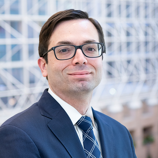 Patrick N. Petrocelli | New York | Hogan Lovells